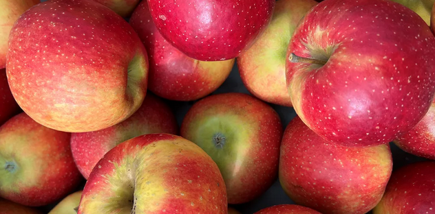 Frisches Obst & Gemüse